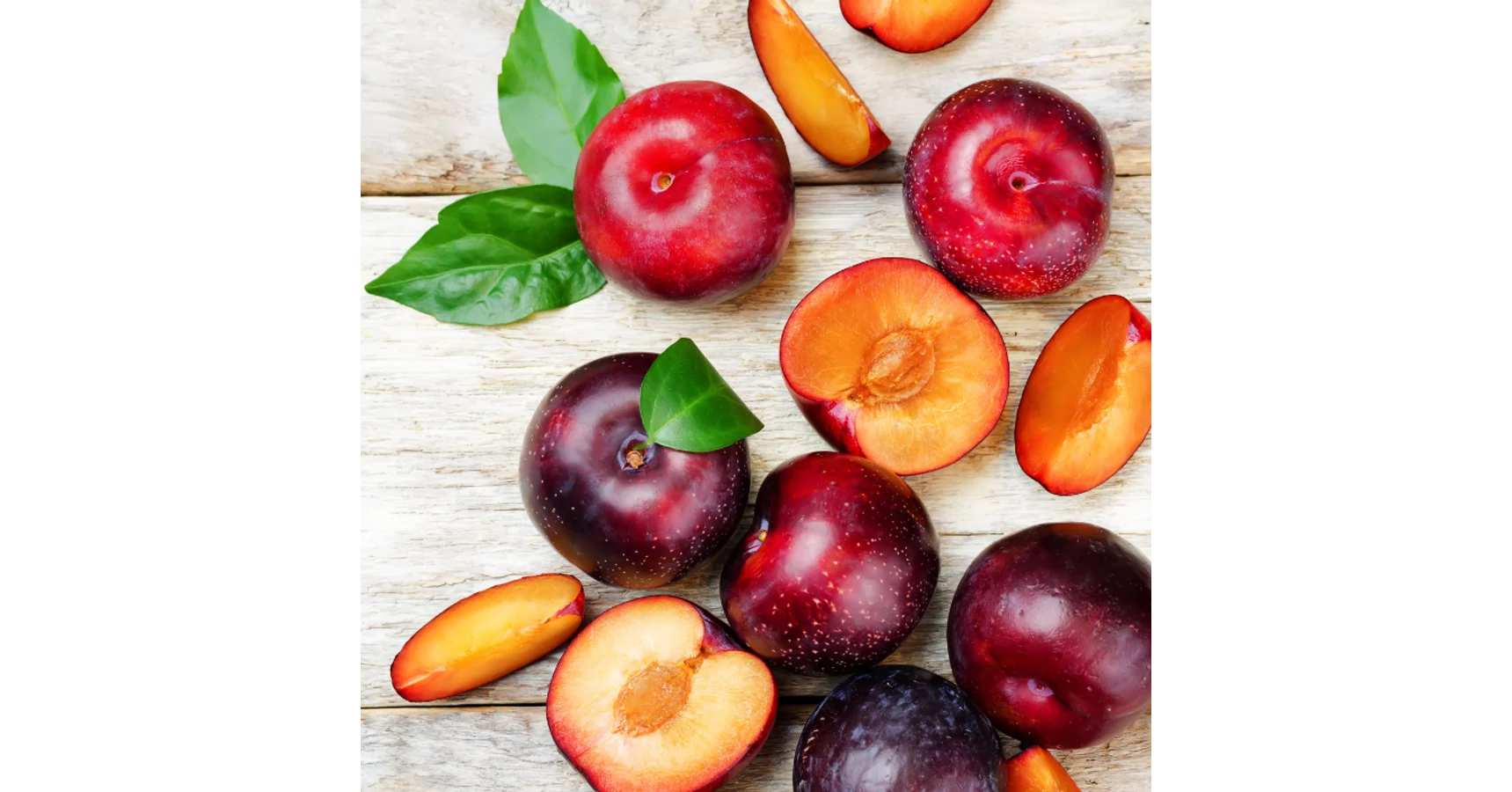 Althan ringló szilvafa - Gardencentrum.hu online kertészet